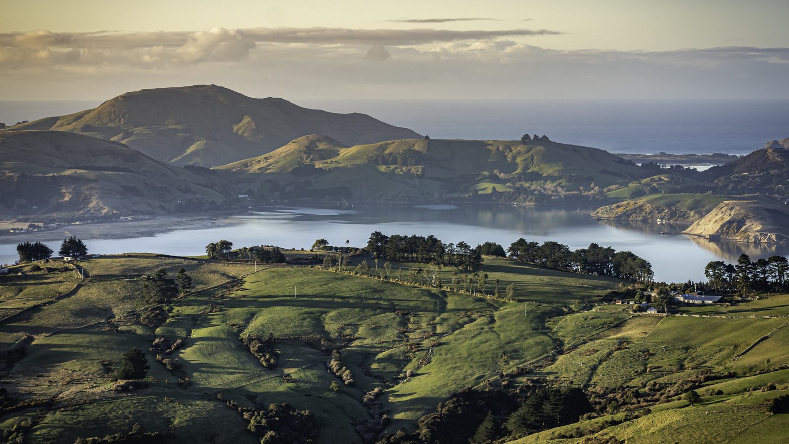 Plongée dans la disparition de Zealandia, le continent perdu - Obscura Plongée dans la disparition de Zealandia, le continent perdu - Obscura