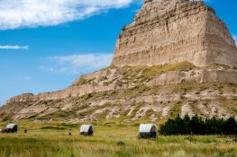 Les Vraies Origines Surprenantes de Humpty Dumpty - Obscura