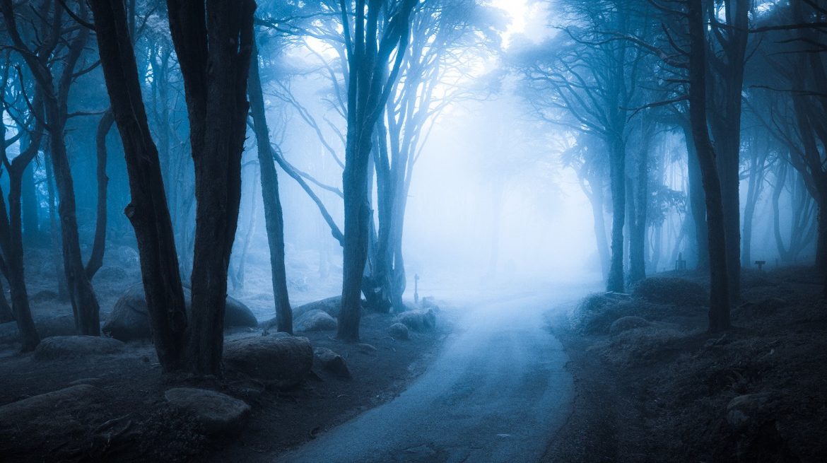 Les Mystères des Disparitions dans le Triangle de Bennington - Obscura