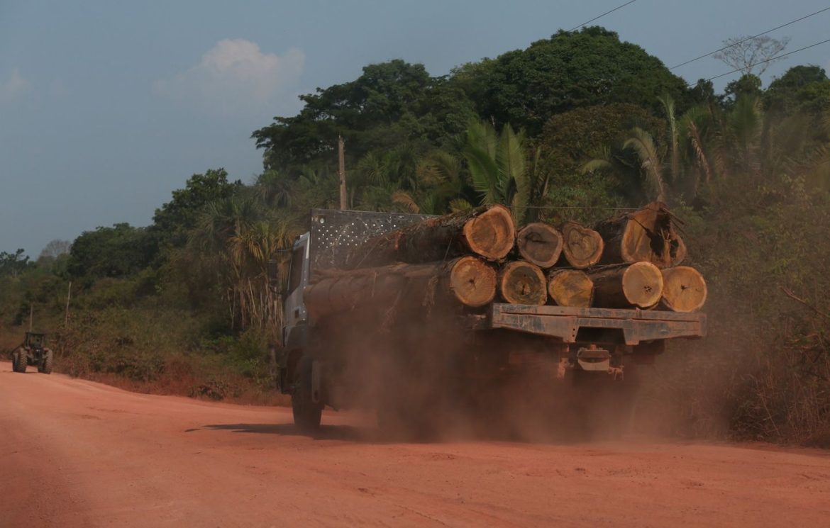 Construction d'une autoroute en Amazonie pour la COP30 au Brésil - Obscura